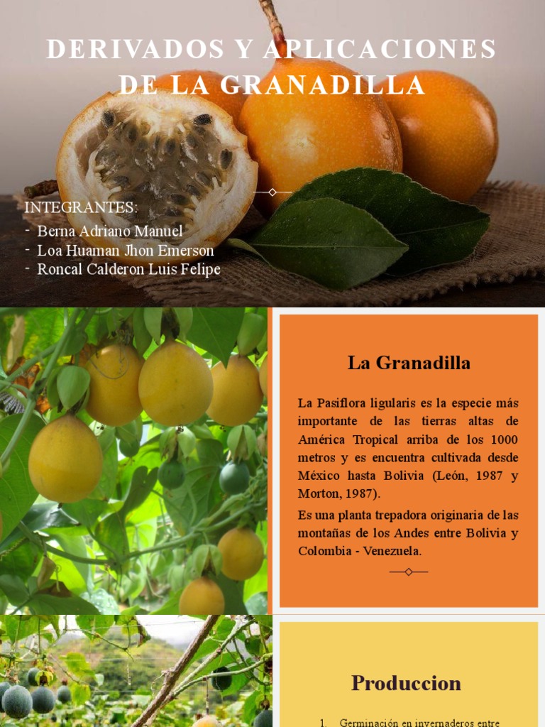 Derivados y Aplicaciones de La Granadilla | PDF | Agricultura