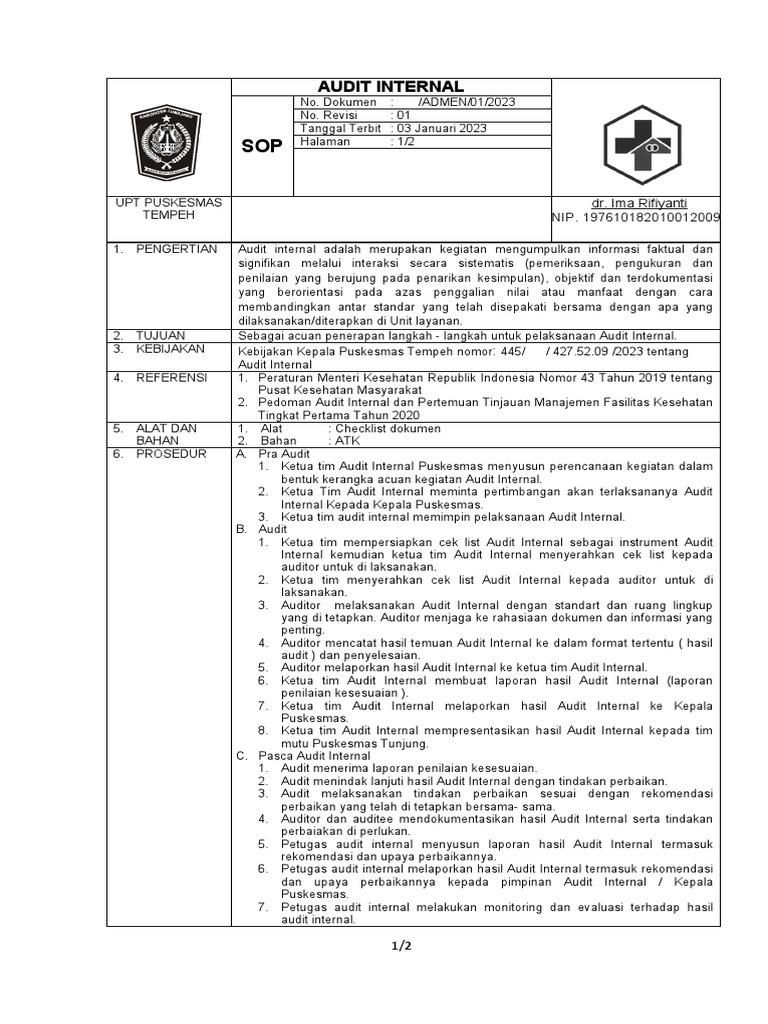 01 SOP Audit Internal 2023 | PDF