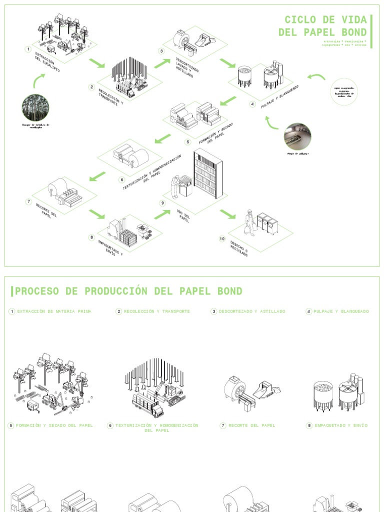 CICLO DE VIDA DEL PAPEL BOND | PDF