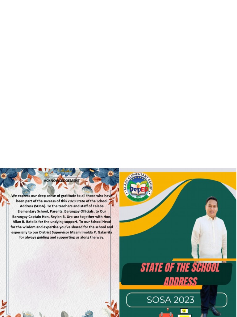 Sosa Programme | PDF