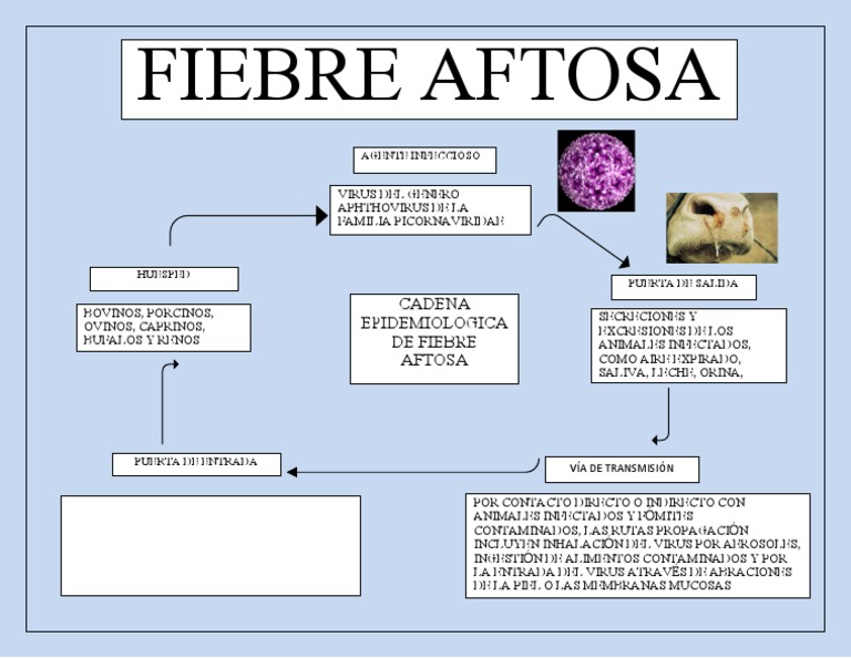 Cadena Epidemiologica de Fiebre Aftosa | PDF