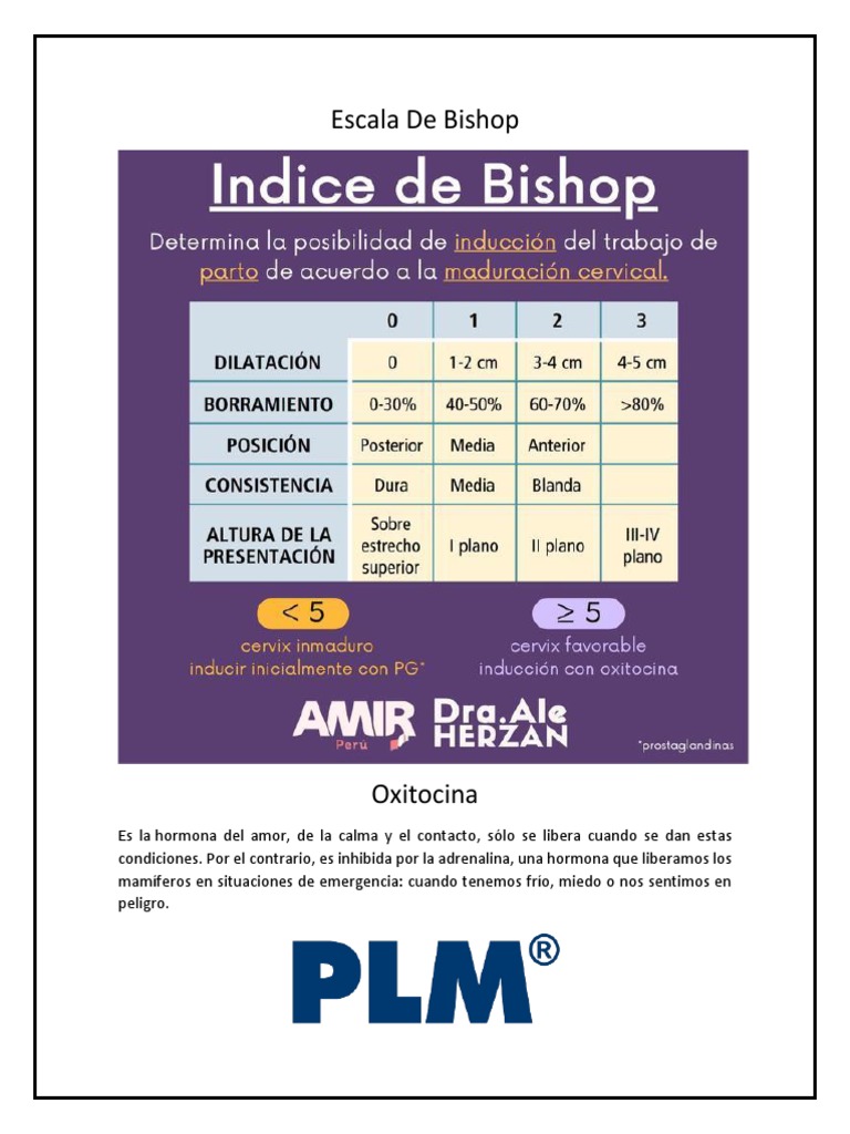 Escala de Bishop | PDF