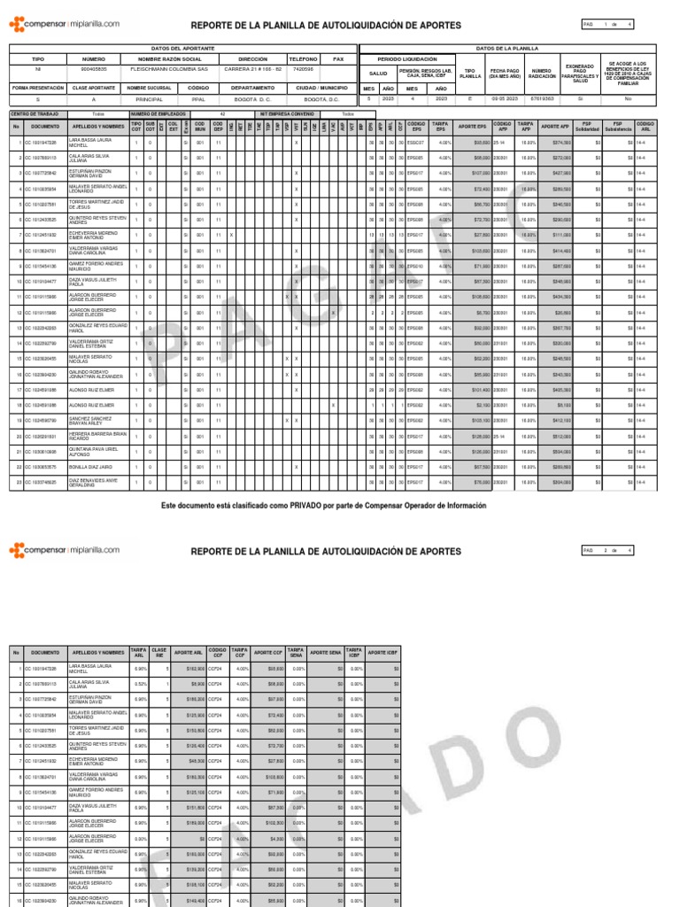 Reporte de Planilla de Aportes 2023 | PDF