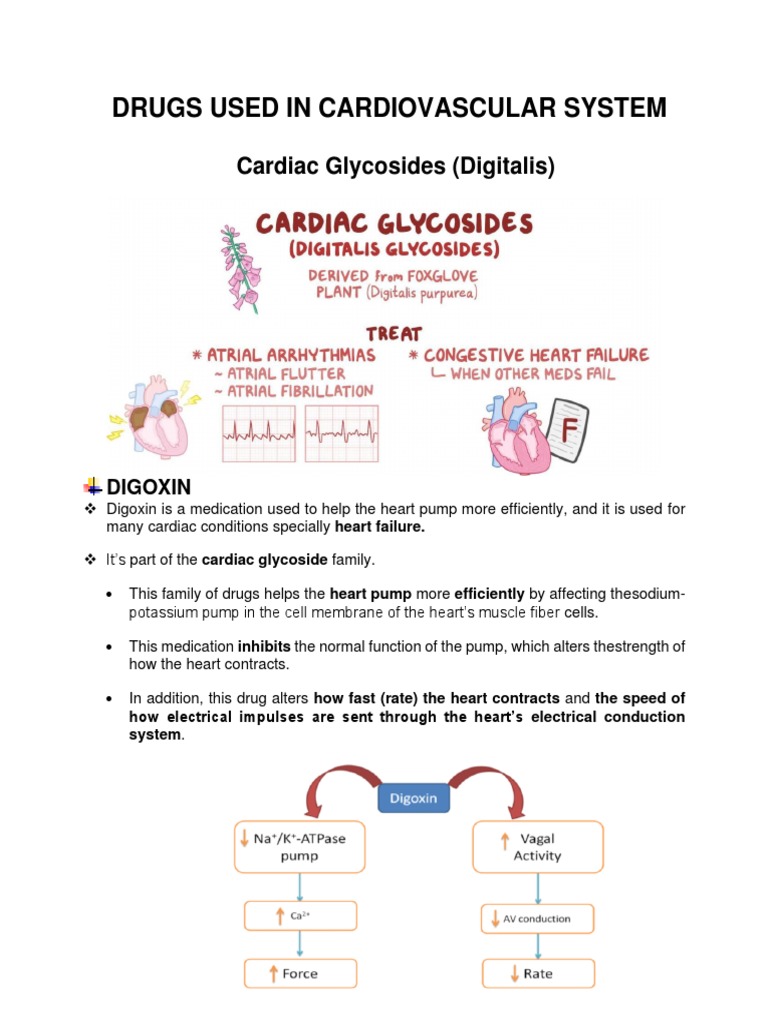 Drugs Used in Cardiovascular System | PDF | Heart | Angiotensin