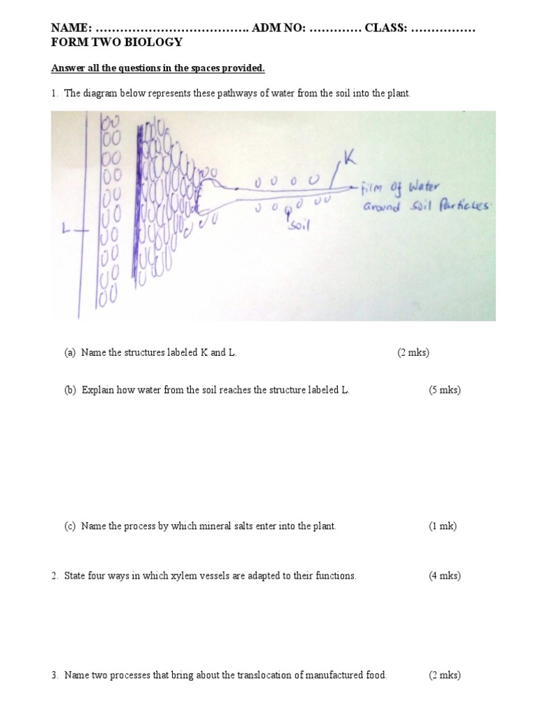 2021 T2 Biology F2 1 | PDF | Technology & Engineering