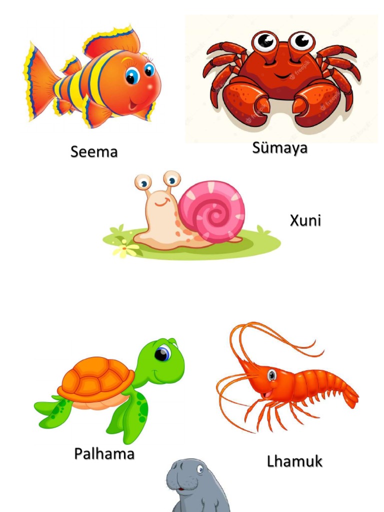 Animales de Mar Xinca | PDF