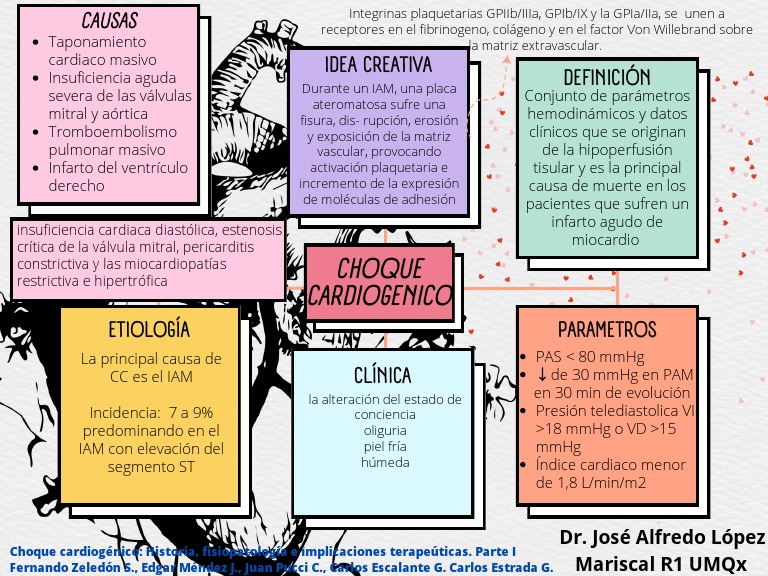 Causas y Clínica del Choque Cardiogénico | PDF | Infarto de miocardio ...