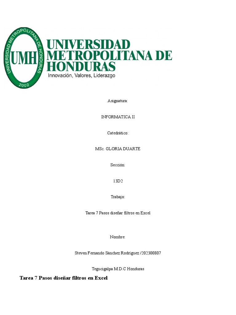 Tarea 7 Pasos Diseñar Filtros en Excel Informatica 2 | PDF