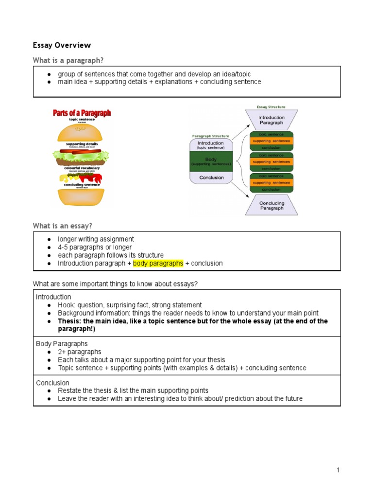 Opinion Essay Worksheet | PDF | Essays | Internet Privacy