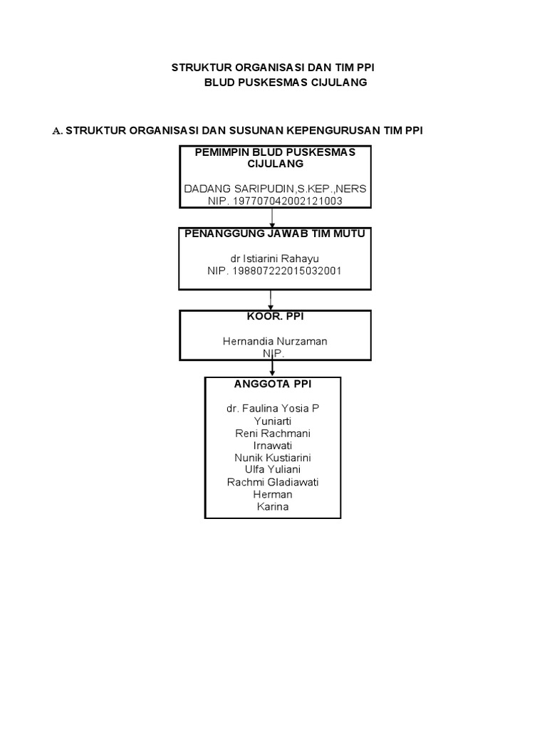 Struktur Organisasi & Tim Ppi | PDF