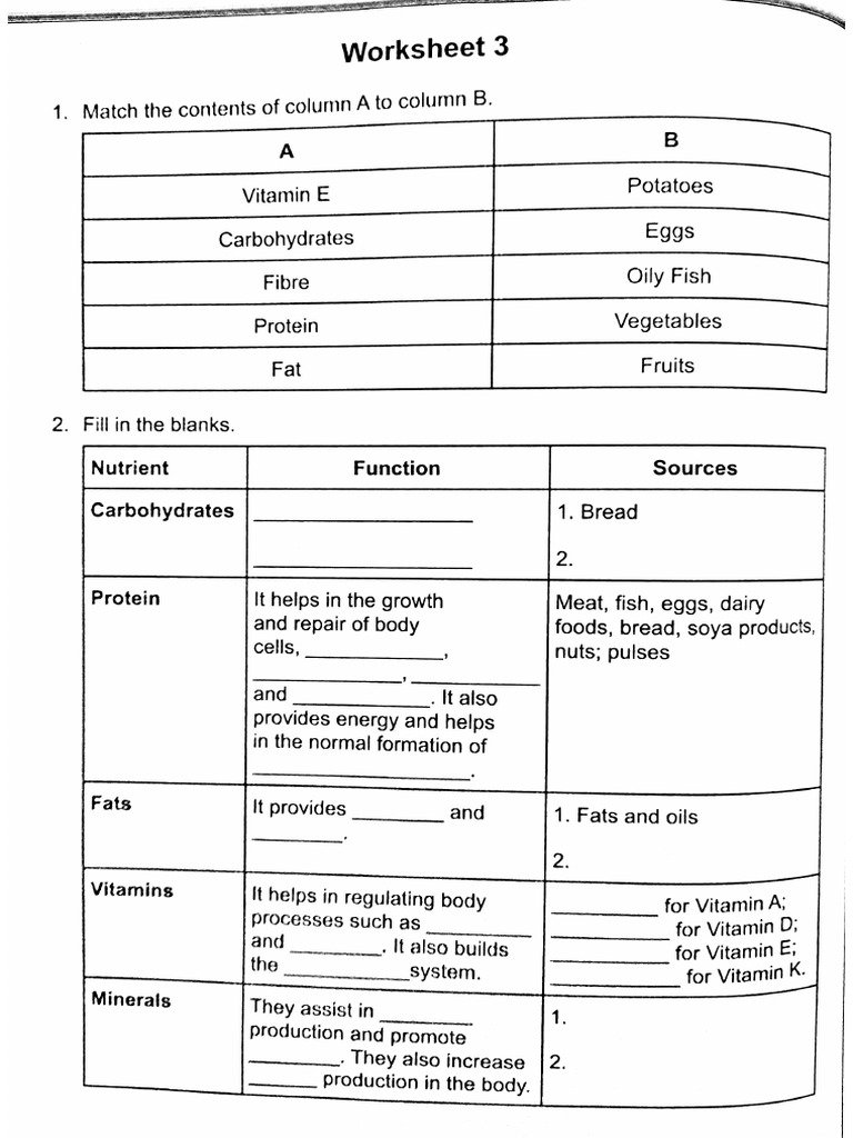 GR 7 HPE Worksheet - 29 Copies | PDF