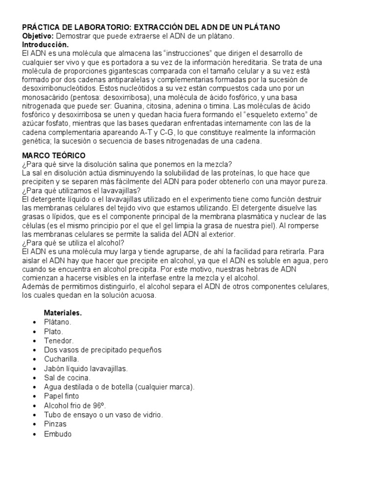Práctica de Extracción de ADN | PDF | Adn | Membrana celular
