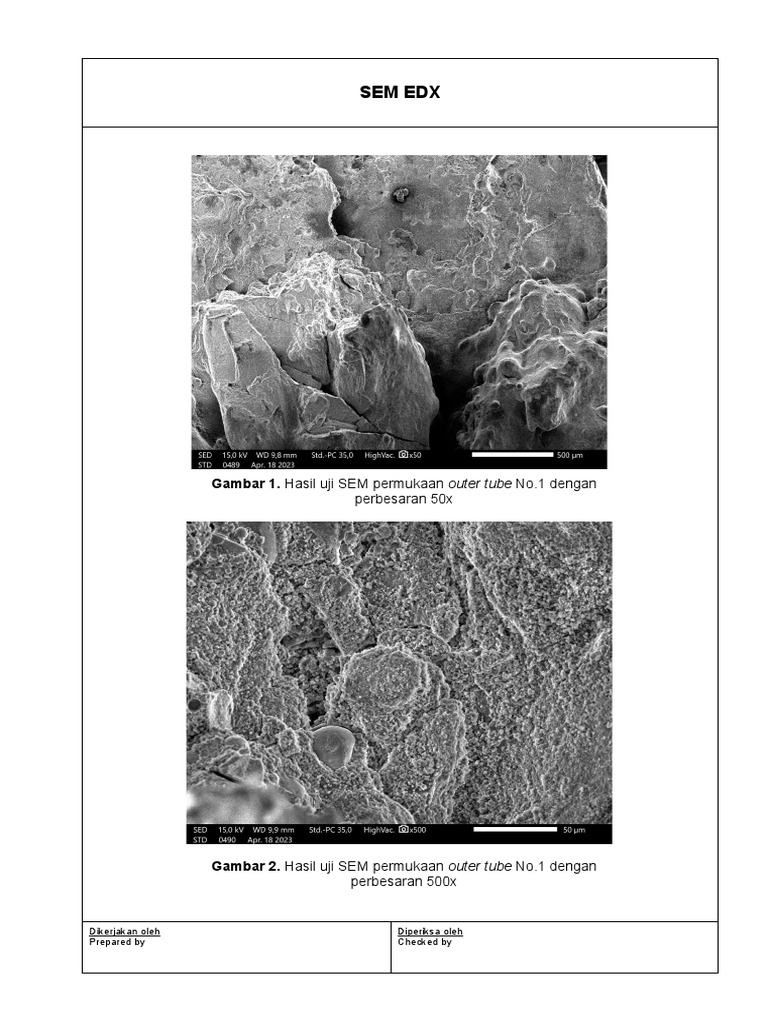 Laporan Sem Edx | PDF