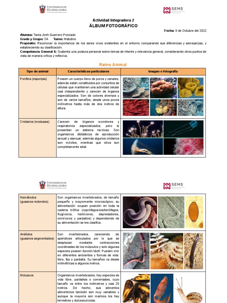 Álbum Fotográfico: Reino Animal, Plantae y Fungi | PDF