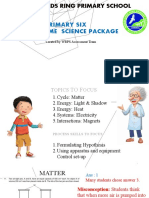 P3 To P6 Revision Guide (SCI) | PDF