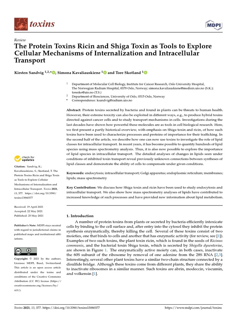 The Protein Toxins Ricin and Shiga Toxin | PDF | Endoplasmic Reticulum ...