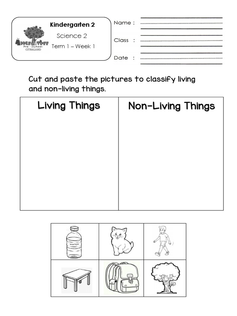 Science-Living Non Living Things | PDF