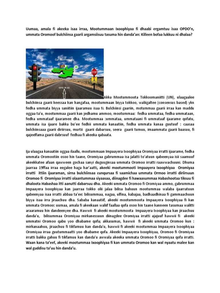 Bulchiinsa Gaarii | PDF