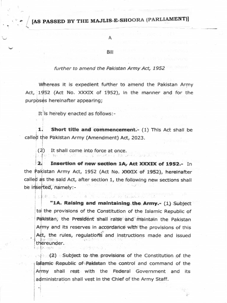 Pakistan Army Act Amendment 2028 | PDF