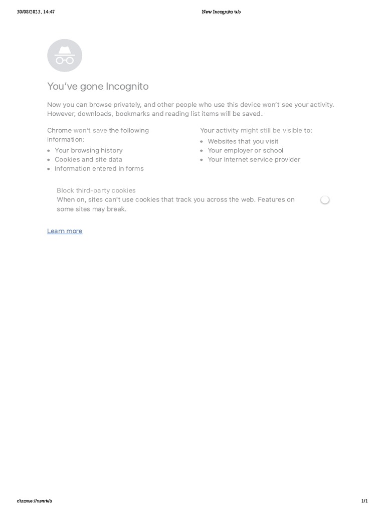 Incognito Book | PDF