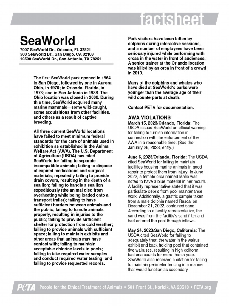 Seaworldfactsheet | PDF | Sea World | Dolphin