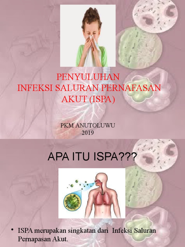 Penyuluhan Ispa Fix | PDF