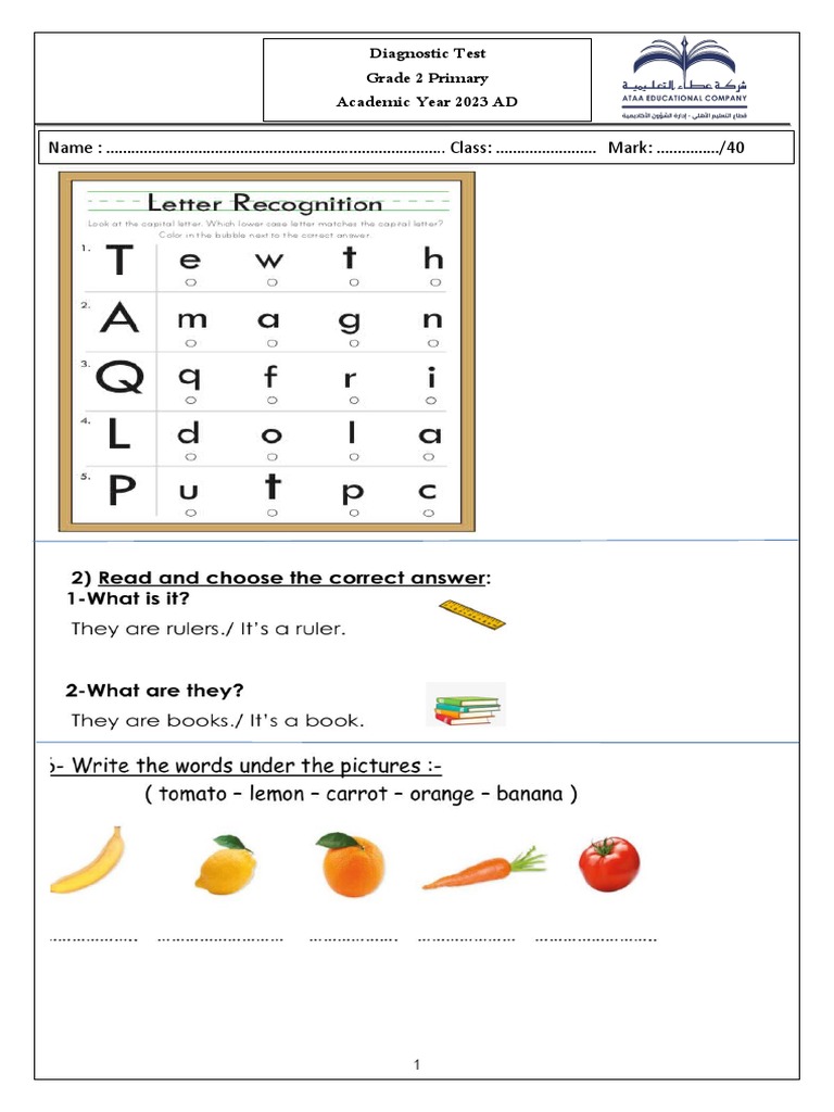 Grade 2 Diagnostic Test 2023 | PDF