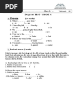 Grade 2 English Diagnostic Test | PDF | Spelling | Phoneme