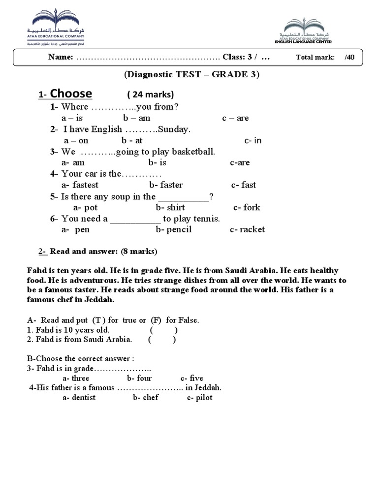 Grade 3 Diagnostic Test | PDF