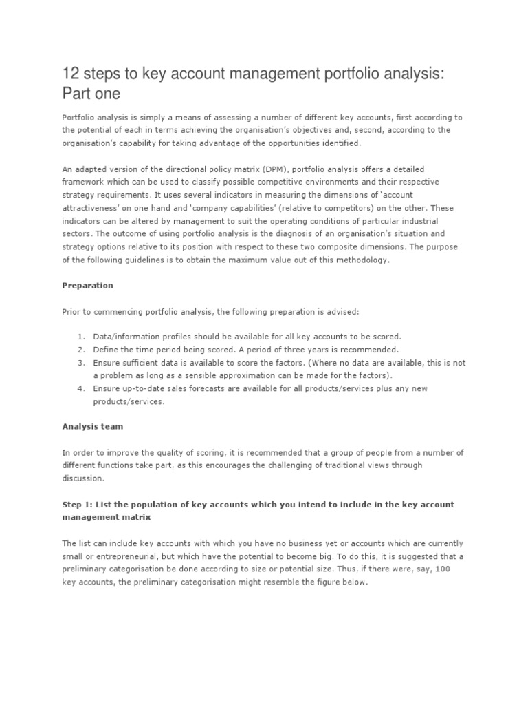 12 Steps To Key Account Management Portfolio Analysis | PDF | Profit ...