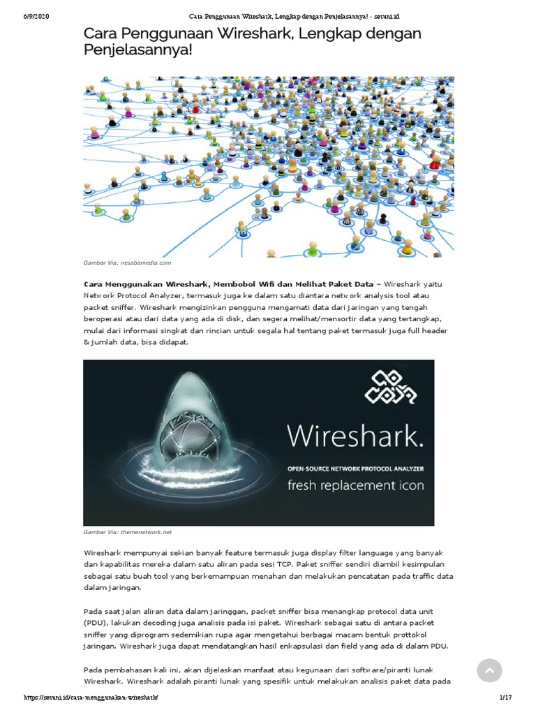 Cara Penggunaan Wireshark, Lengkap Dengan Penjelasannya! - Seruni - Id | PDF