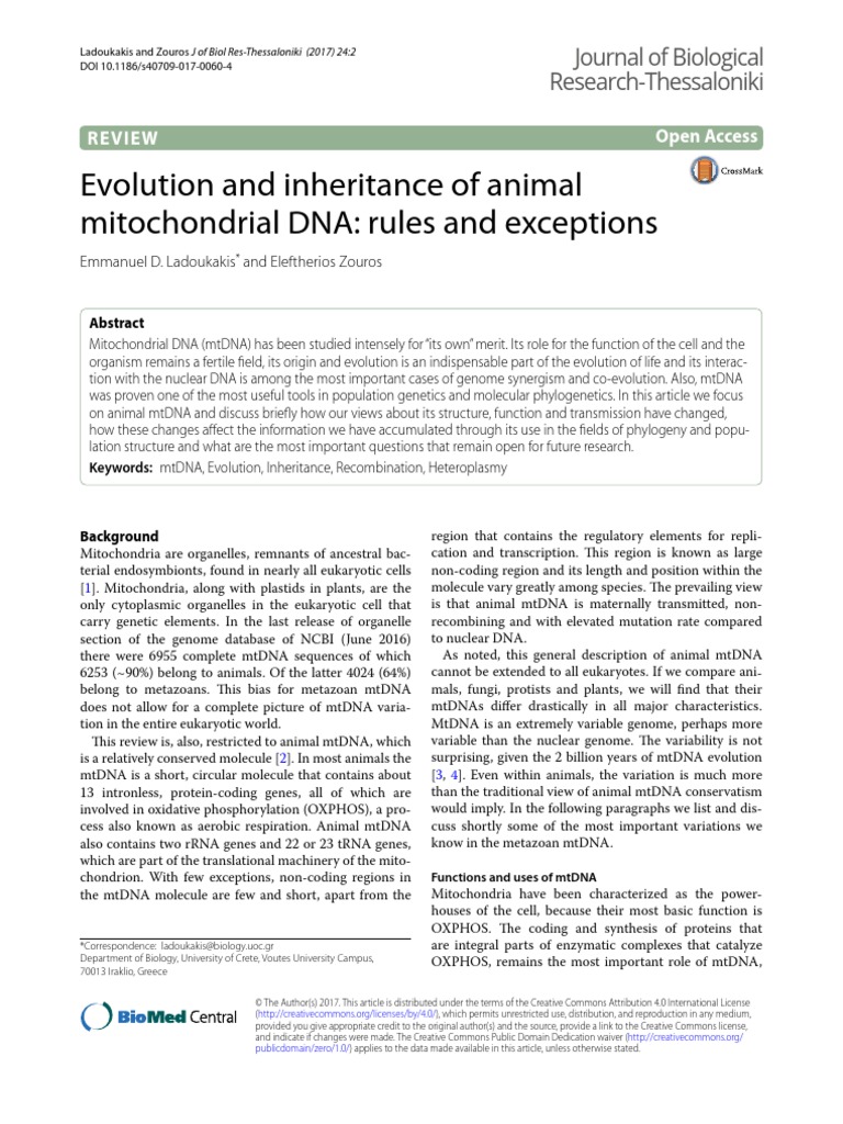 Evolution and Inheritance of Animal Mitochondrial DNA: Rules and ...