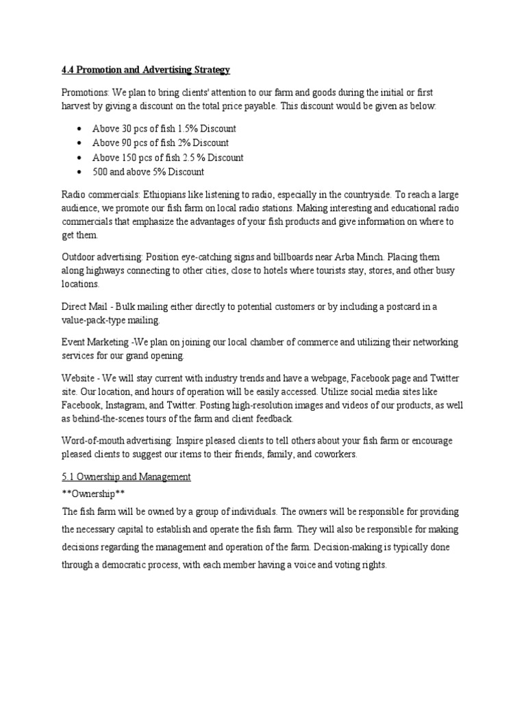 Promotion and Advertising Strategy | PDF Promotion and Advertising Strategy | PDF