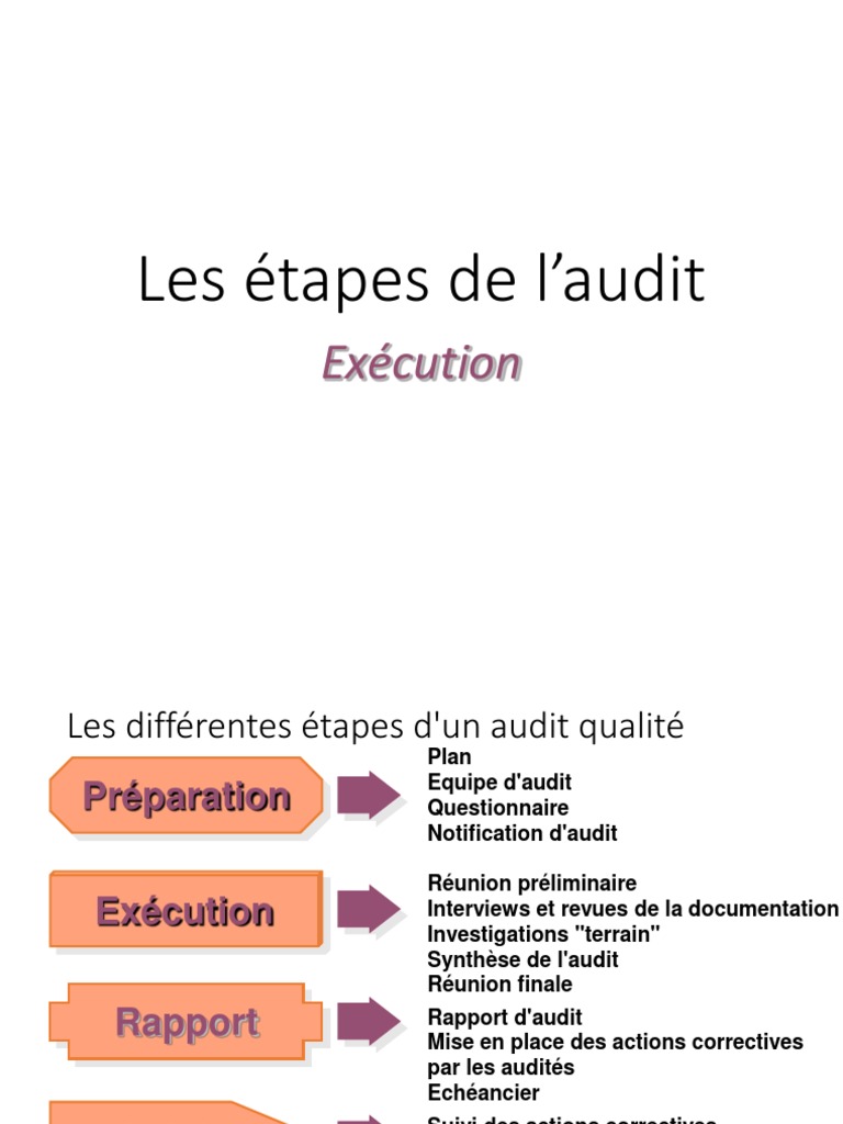 3ème Partie - Audit Execution - PDF | PDF | Audit