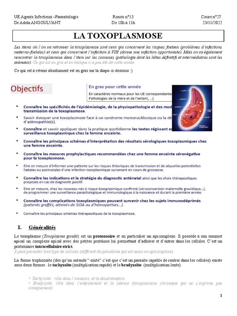 Toxoplasmose | PDF | Système immunitaire | Spécialités médicales
