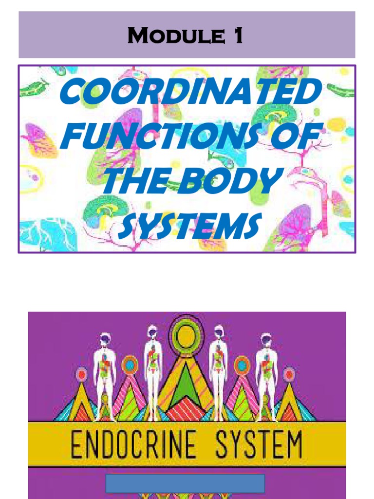 1 PPT Endocrine System | Download Free PDF | Endocrine System | Hormone