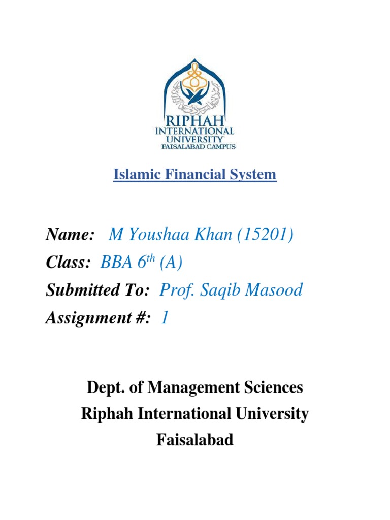 Flow of Funds in Islamic Finance | PDF