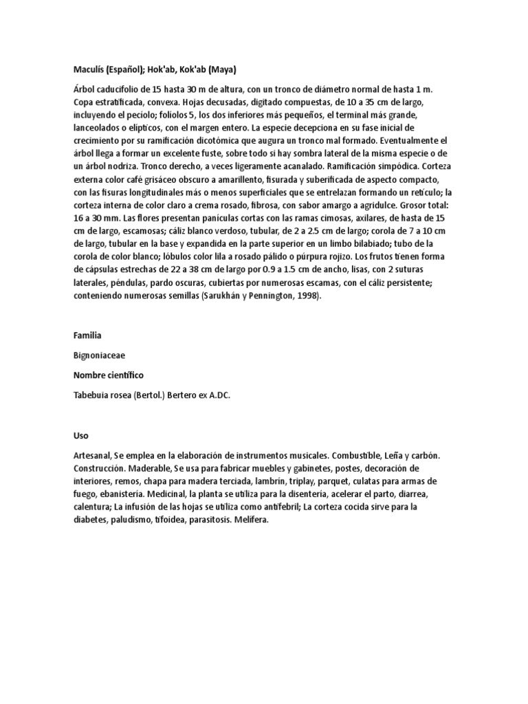 Maculís | PDF | Hoja | Arboles