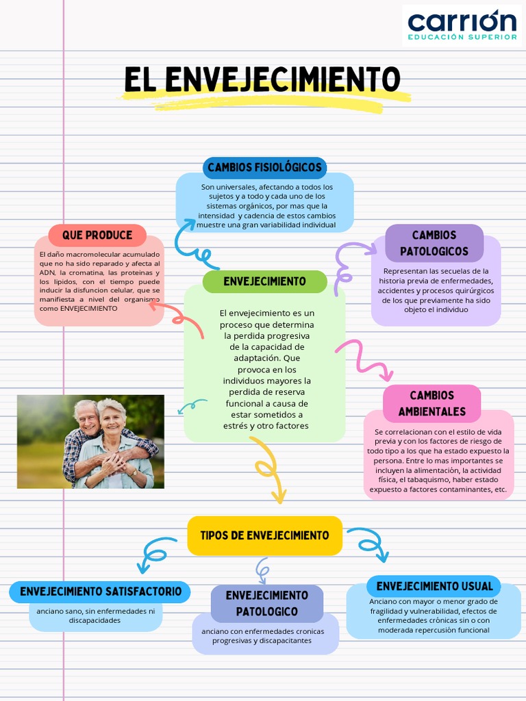 envejecimiento mapa. ELIpdf | PDF | Envejecimiento | Medicina CLINICA
