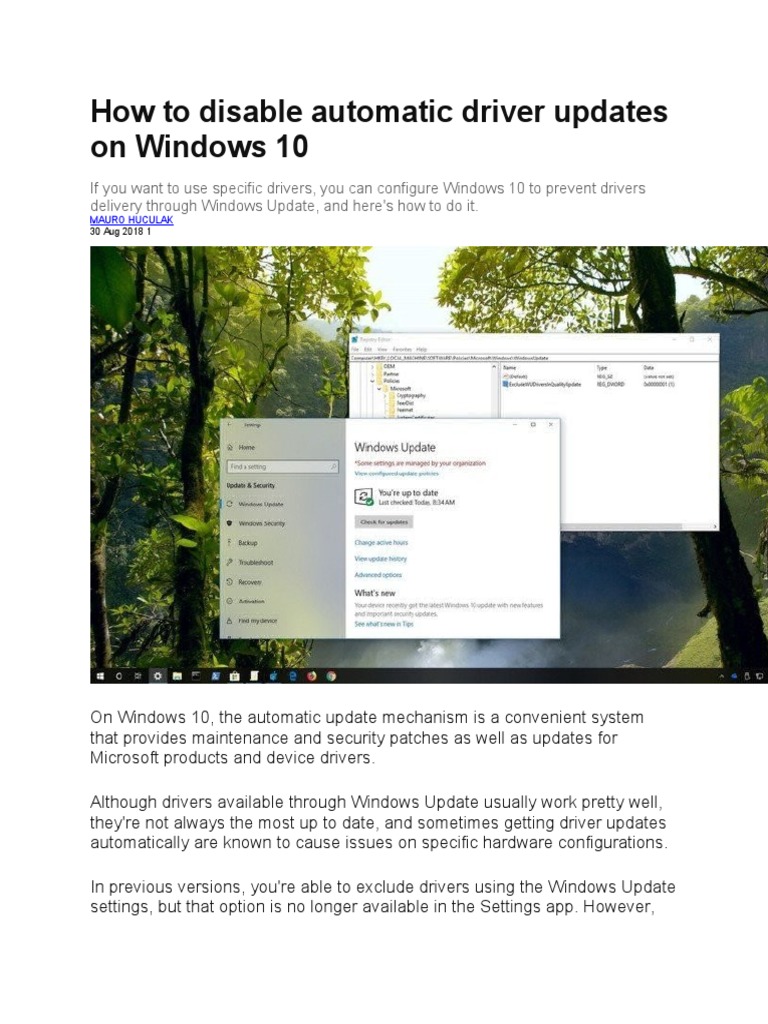 How To Disable Automatic Driver Updates On Windows 10 | PDF | Windows ...
