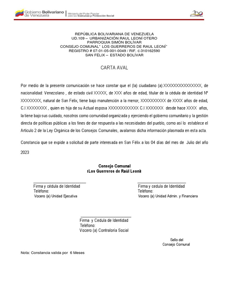 Guía Completa Para Redactar Un Formato Efectivo De Carta De Aval – WHLFS