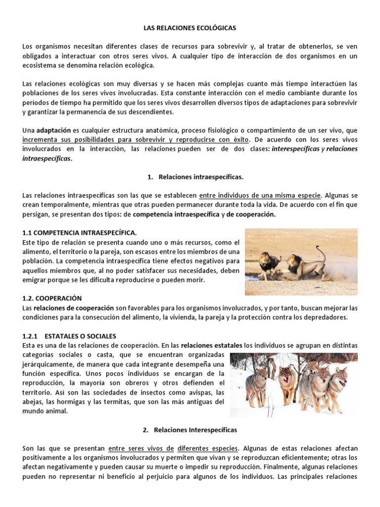 Las Relaciones Ecológicas | PDF | Simbiosis | Depredación