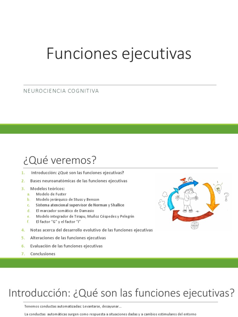 Funciones Ejecutivas | PDF | Las emociones | Funciones ejecutivas