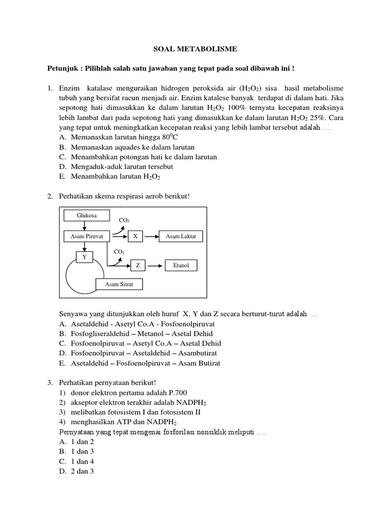 Latihan Soal Metabolisme | PDF