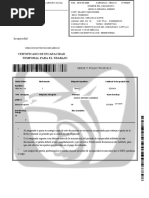 Formato Incapacidad Imss Editable Word | PDF