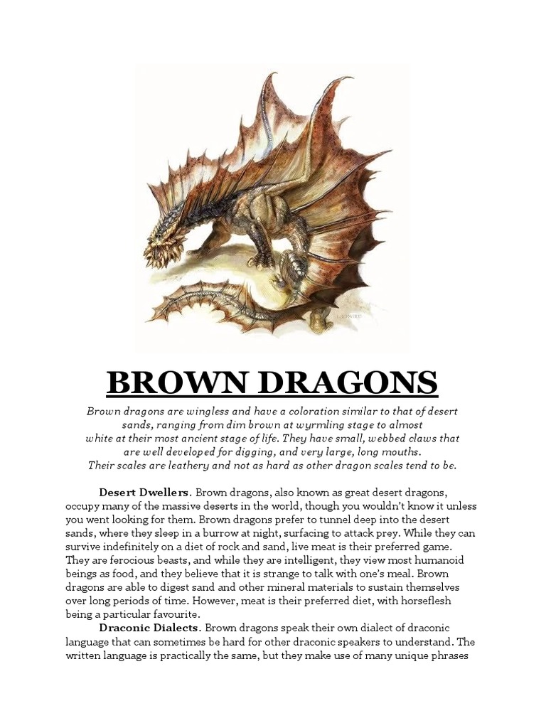 Brown Dragons | PDF | Dragon