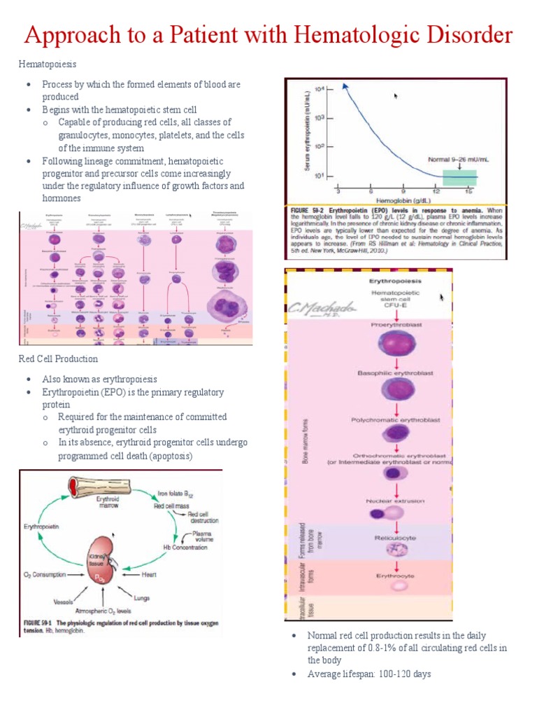 Understanding Hematologic Disorders | PDF | Anemia | Red Blood Cell