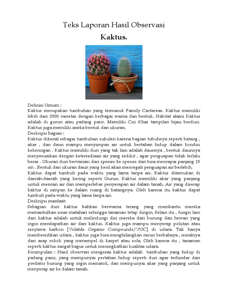 TEKS LHO Kaktus | PDF