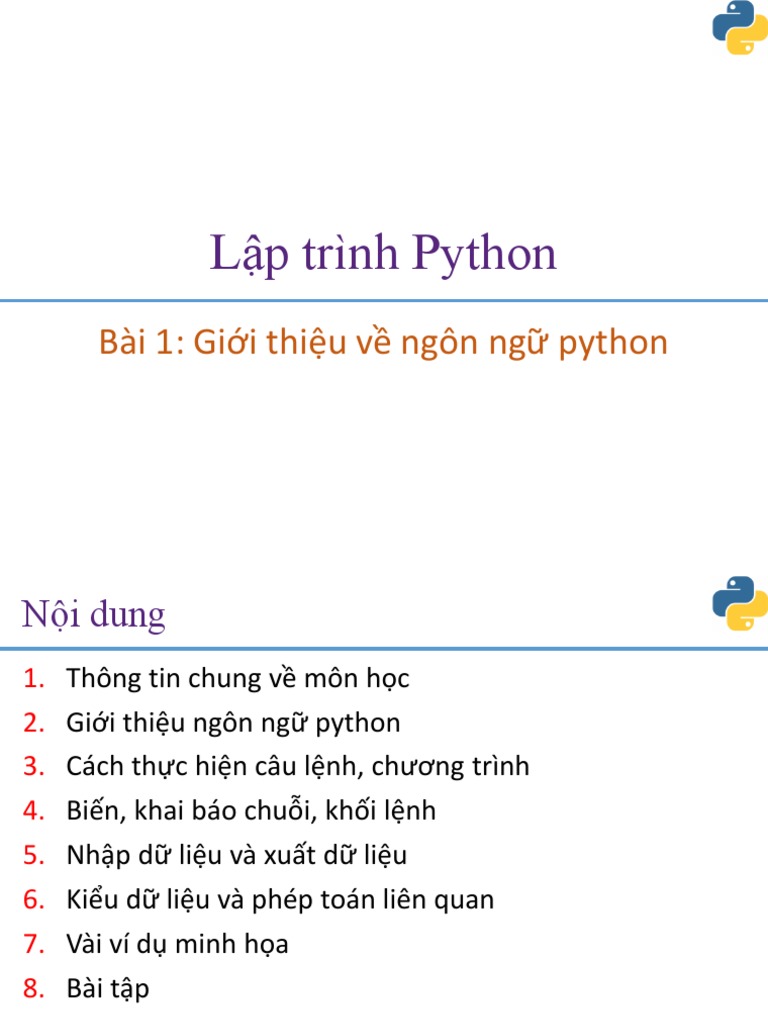 b1 Python | PDF