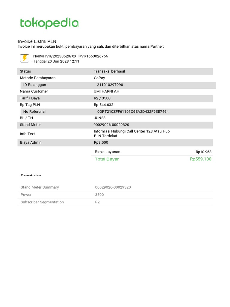Invoice PLN Juni 2023 | PDF